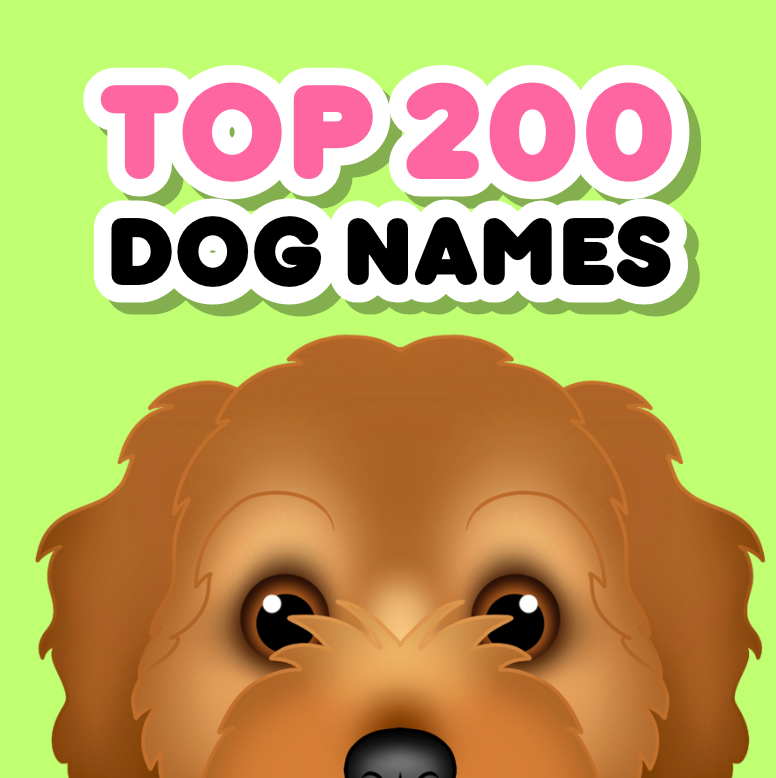 Top 200 Dog Names | Cute & Unique Puppy Names – Zoopeez